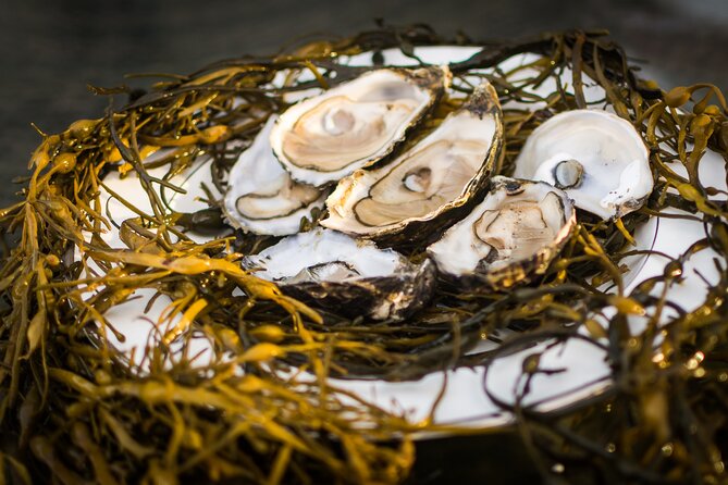 Oyster Farm and Tasting Experience - Gaining Insights From the Knowledgeable Guides