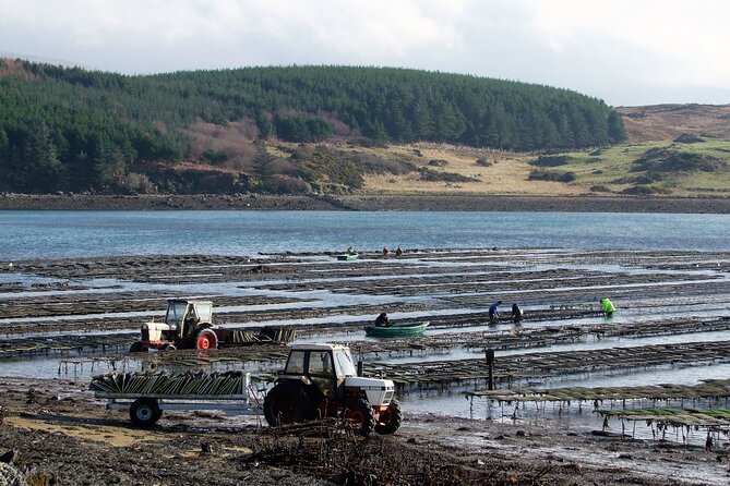 Oyster Farm and Tasting Experience - Frequently Asked Questions