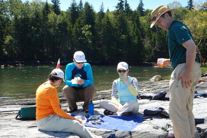 Oyster Farm & Complimentary Tasting Sea Kayak Tour in Casco Bay - The Experience in Detail: What Travelers Can Expect