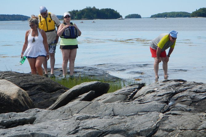 Oyster Farm & Complimentary Tasting Sea Kayak Tour in Casco Bay - Practical Tips for Participants