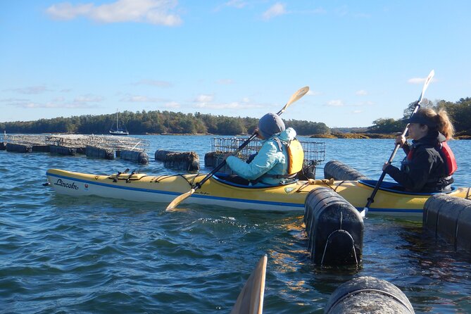 Oyster Farm & Complimentary Tasting Sea Kayak Tour in Casco Bay - FAQs