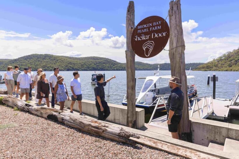 Oyster & Pearl Lovers Tour - The Details: Logistics and Value