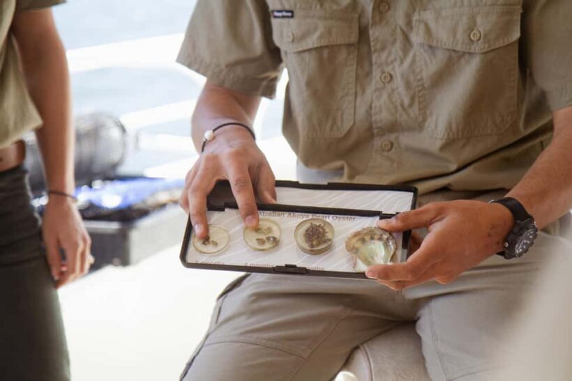Oyster & Pearl Lovers Tour - The Sum Up