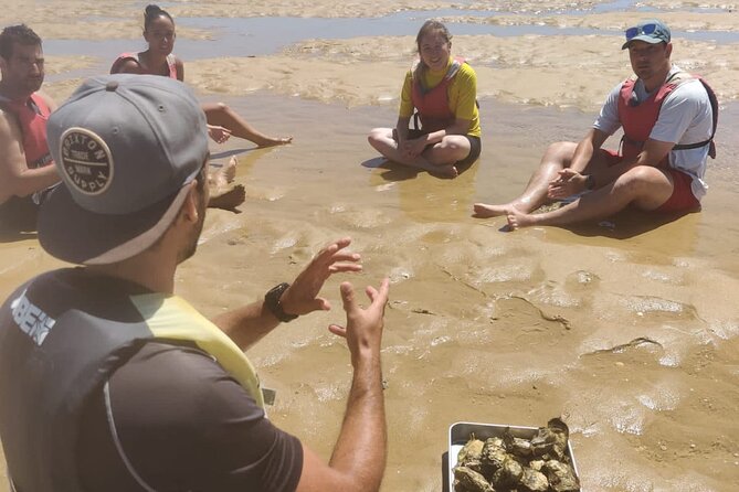 Oyster Sensations - Key Points