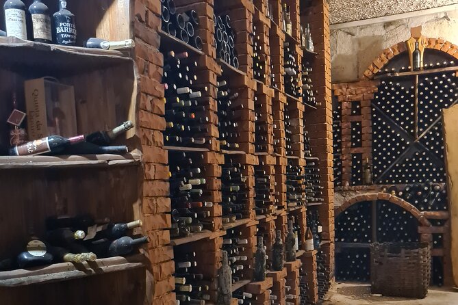 Oysters & Wine Tour From Dubrovnik (Small Group) - Indulging in Oyster Farm Delights