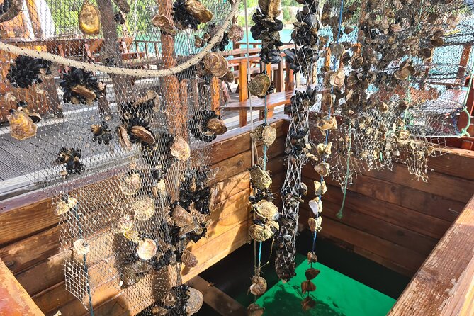 Oysters & Wine Tour From Dubrovnik (Small Group) - Sampling Local Produce and Delicacies