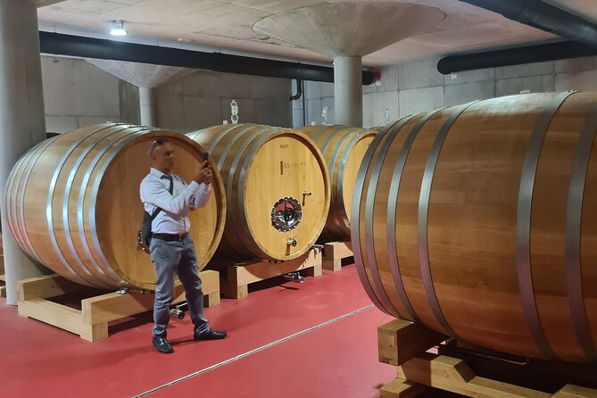 Oysters & Wine Tour From Dubrovnik (Small Group) - Transportation and Logistics