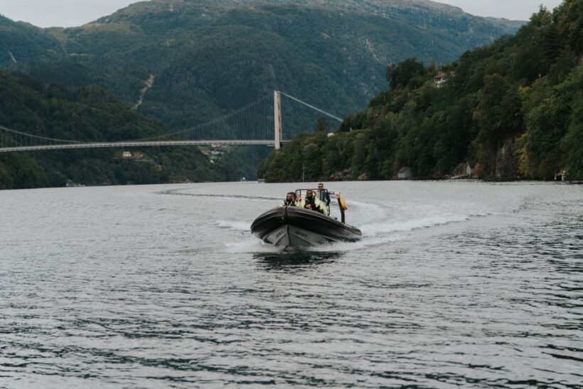Øystese: Hardangerfjord RIB safari to the Fyksesund branch - Exploring the Hardangerfjord on a RIB Safari: An Authentic Norwegian Adventure