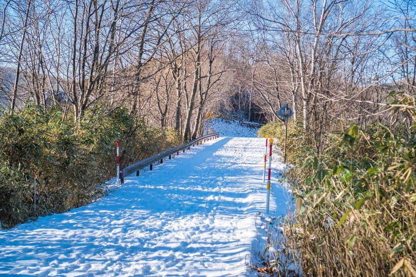 Oyunuma Hot Spring Pond Viewing Point Tour - What Travelers Can Expect: A Closer Look
