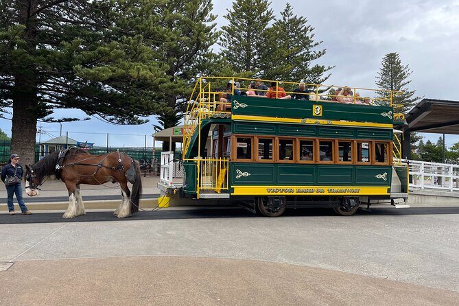 Oz Wicked Glitch in Adelaide: Exploration Game and Tour - How It Compares to Other Tours