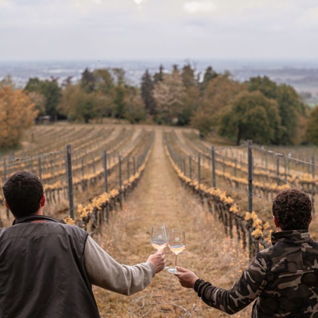 Ozzano Emilia: Guided Cellar Walking Tour with Wine Tasting - An In-Depth Look at the Experience