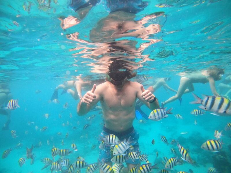 Ozzy Snorkeling 3 Islands Visit Baby Turtles - The Group Size and Atmosphere