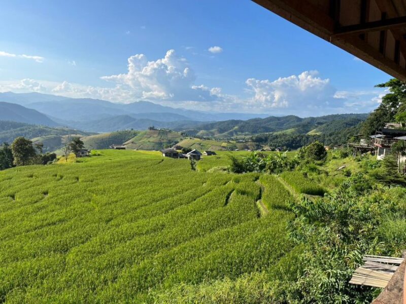Pa Pong Piang Rice Terraces & Doi Inthanon National Park - Key Points