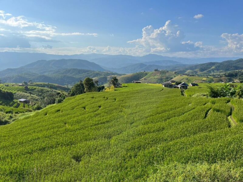 Pa Pong Piang Rice Terraces & Doi Inthanon National Park - Who Is This Tour Best For?