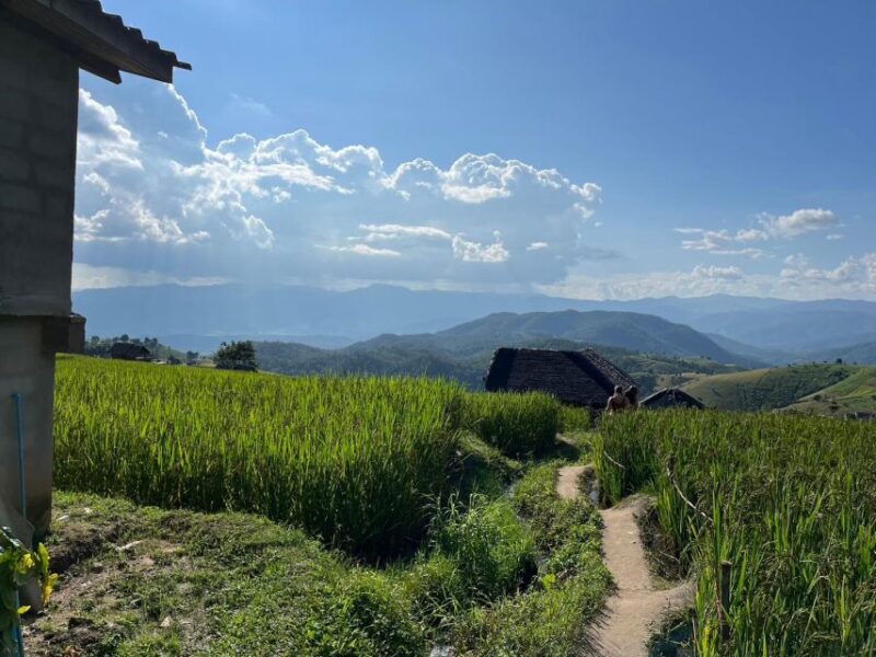 Pa Pong Piang Rice Terraces & Doi Inthanon National Park - FAQs