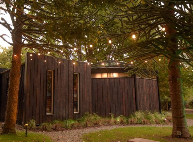 Pablo Bernasconi's Art Gallery Guided Tour - Exploring the Tour: A Closer Look