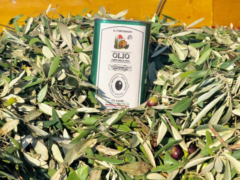 Paciano: Organic Cooking Class at a Farm with Lunch & Wine - The Sum Up