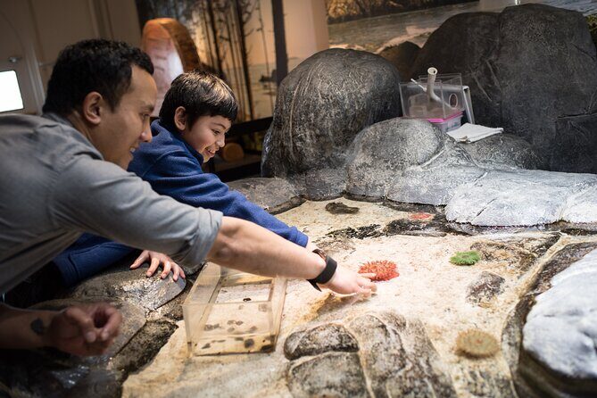 Pacific Science Center General Exhibit Admission - FAQ: Your Practical Questions Answered