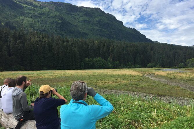 Pack Creek Brown Bear Viewing Juneau - The Scenic Floatplane Ride