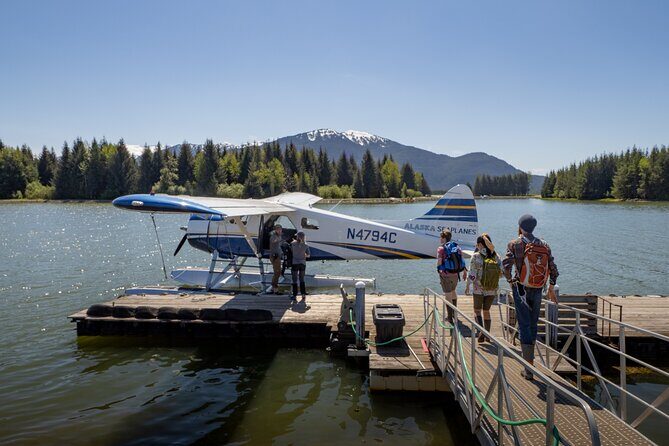 Pack Creek Brown Bear Viewing Juneau - Observing the Bears