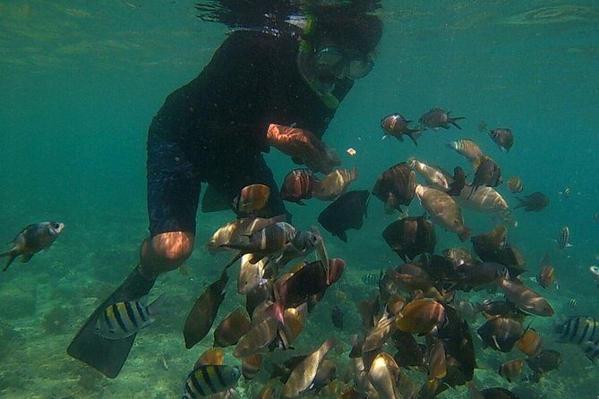 Package 3 days : City Tour, Snorkeling, & Hiking to Waterfalls - Key Points