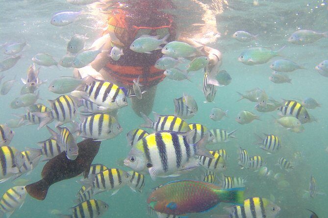 Package 3 days :Visit Sasak Villages,Hiking to Waterfalls, & Snorkeling 3 Gilis - What Travelers Say