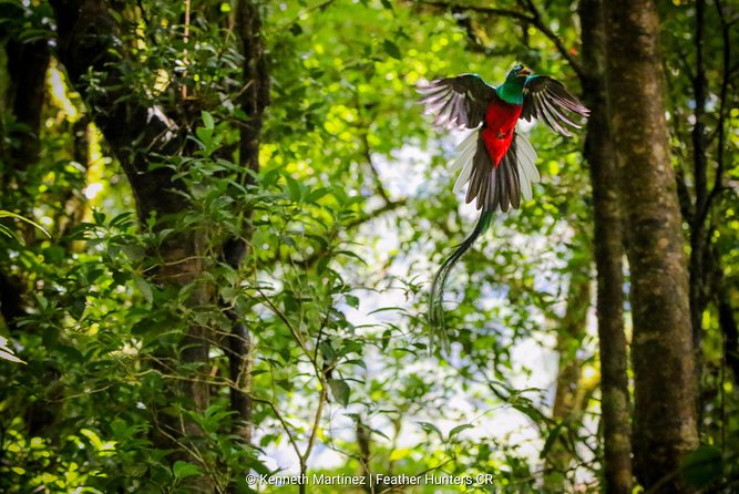 Package | Monteverde Cloud Forest + Curi-Cancha Reserve + Night Hike (Private) - Experiencing the Night Hike
