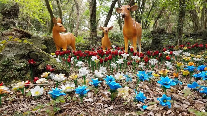 Package tour of All areas of Jeju Island-(East &South &West) - Key Points