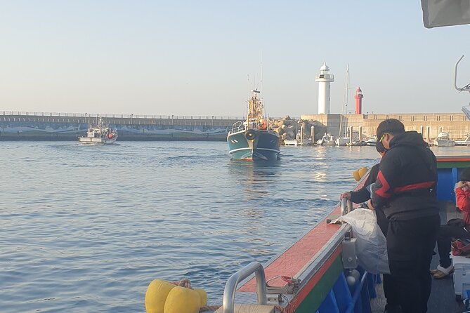 Package tour of All areas of Jeju Island-(East &South &West) - Transportation & Practicalities