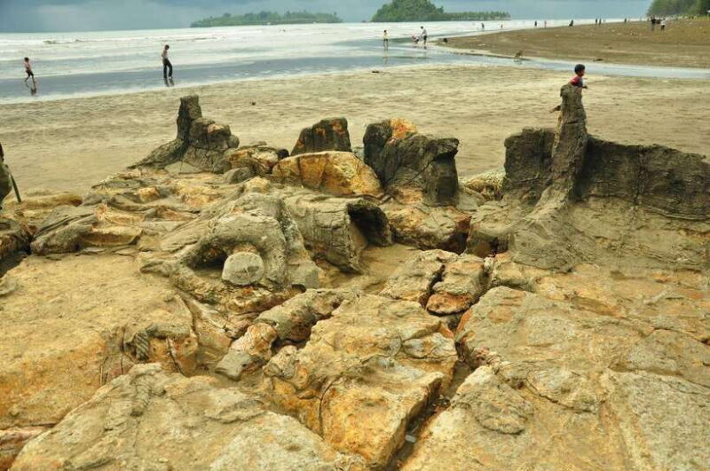 PADANG CITY : PRIVATE TOUR WITH CAR DRIVER - Potential Drawbacks and Considerations