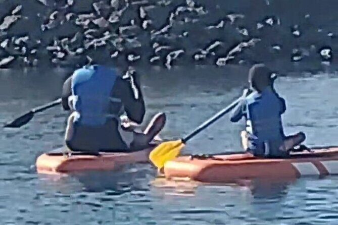 Paddle Board Picnics Lessons Rentals and Outdoor Adventures - What to Expect During Your Paddleboard Adventure