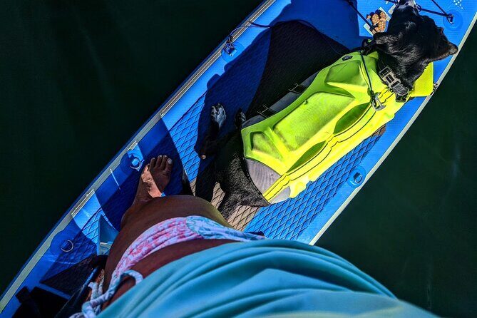 Paddle Board Picnics Lessons Rentals and Outdoor Adventures - FAQ about Winged not Wired Watersports Paddleboard Experience