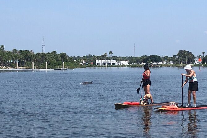 Paddle Board Rental - Who Will Enjoy This Experience?