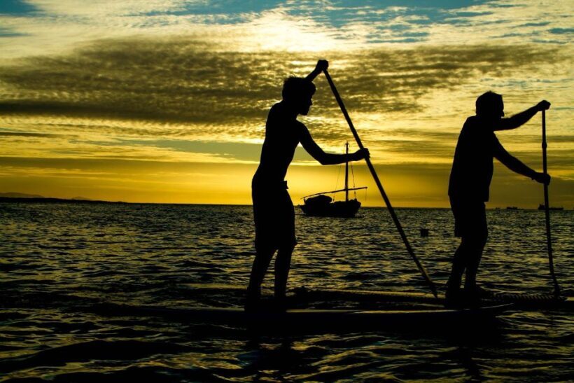 Paddle Board Rental: Glide on the Water with Ease - The Experience Provider: Who They Are and What They Offer