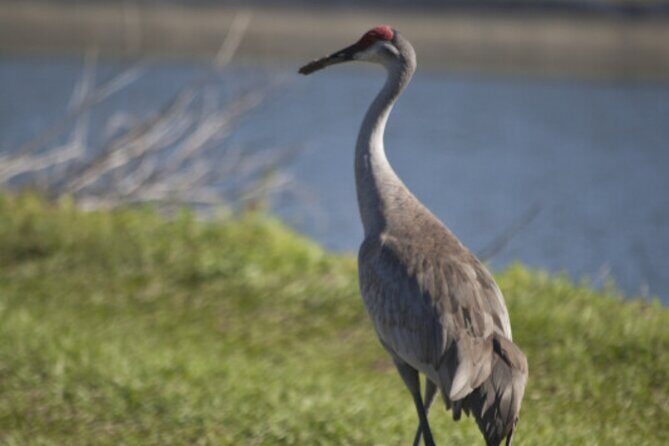 Paddle Board Rental in Indian Lake - The Value of the Experience