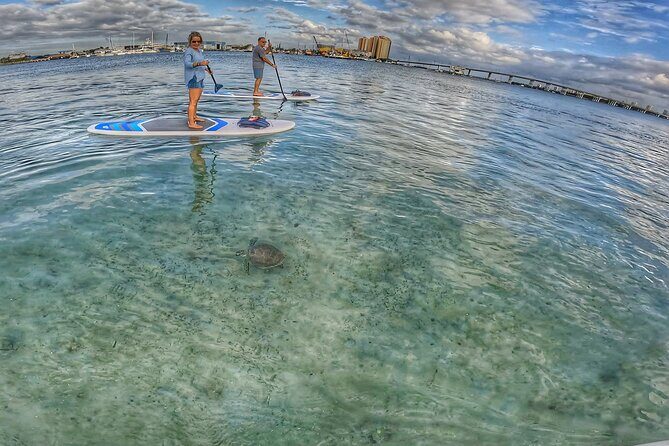 Paddle Boarding Activity to Peanut Island - The Itinerary and What You Can Expect
