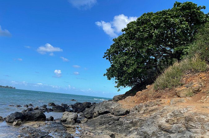 Paddle boarding and hiking adventure at Mokoli'i Island. - Practical Tips for Your Adventure