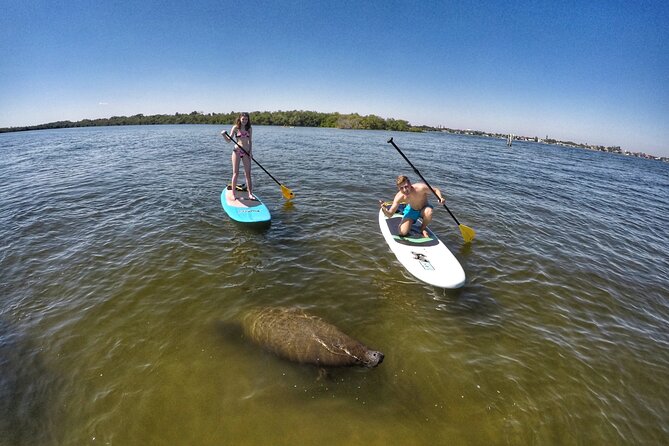 Paddle Boarding Eco Adventure Tour Jupiter Florida - Singer Island - Naturalist Guide Insights