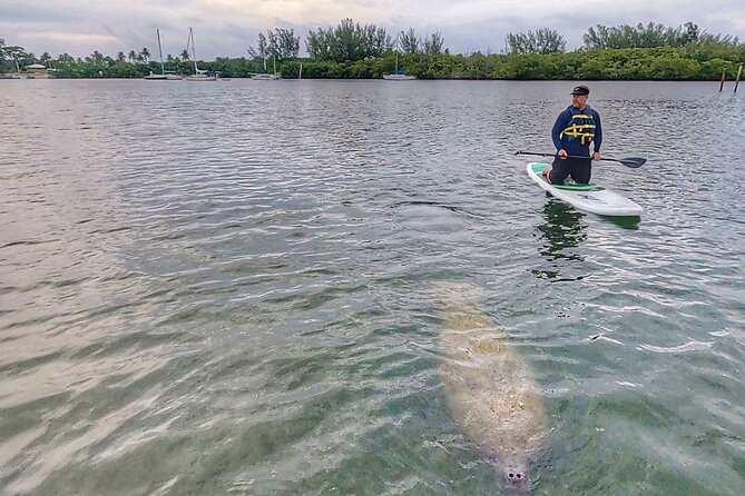 Paddle Boarding Eco Adventure Tour Jupiter Florida - Singer Island - Meeting Point and Logistics