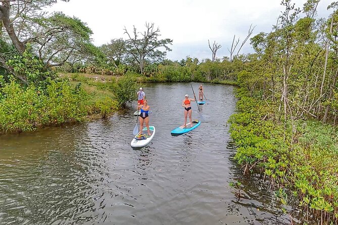 Paddle Boarding Eco Adventure Tour Jupiter Florida - Singer Island - Traveler Recommendations and Awards