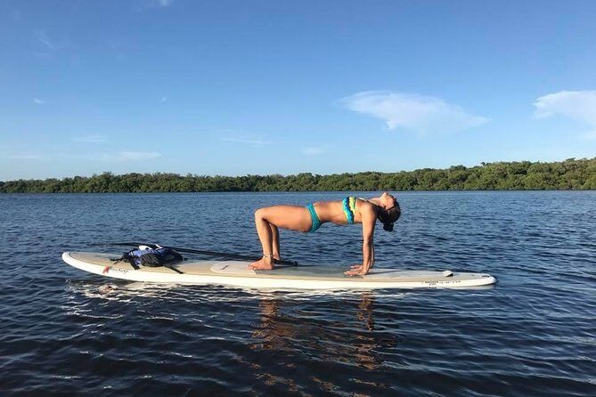 Paddle Boarding Rentals - The Sum Up
