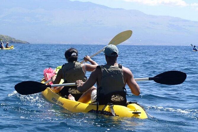 Paddle, Snorkel and Learn to Surf: All in a Day on Maui - Who Should Book This Tour?