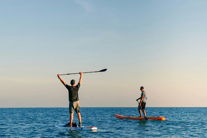 Paddle Surf Board Rental in Valencia - Who Will Love This?