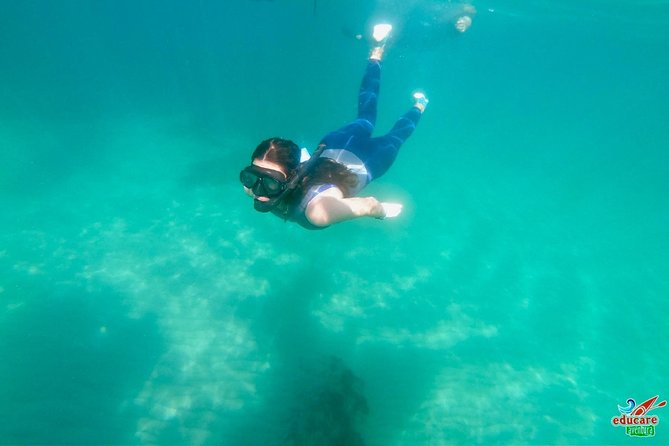 Paddle Surf Route Cliffs Nerja and Cascada De Maro + Snorkel - Highlights of the Experience