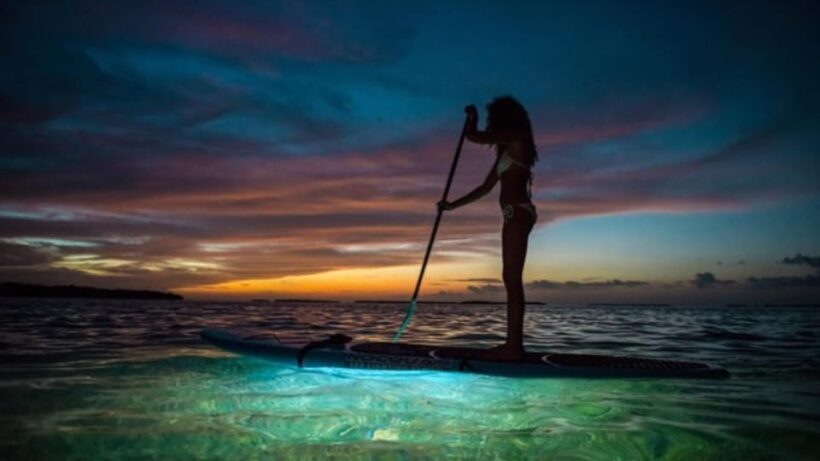 Paddle Surf with Led lights at sunset in Menorca - Introduction