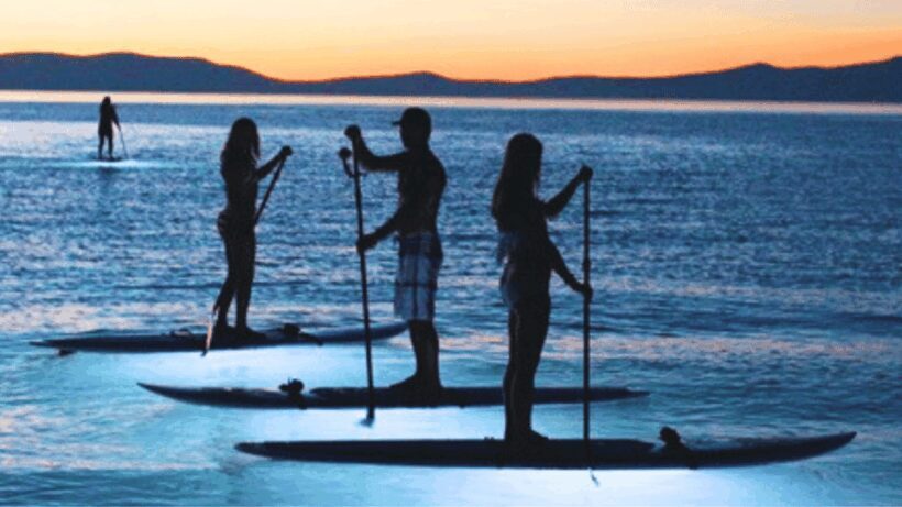 Paddle Surf with Led lights at sunset in Menorca - The Sum Up