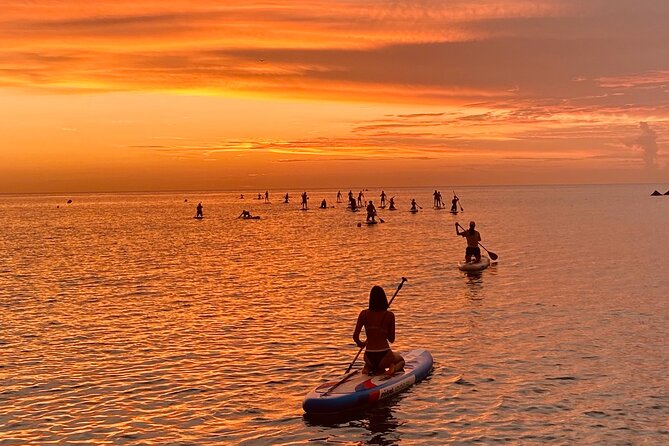 Paddle Surfing in Barcelona - Booking Your Paddle Surfing Experience