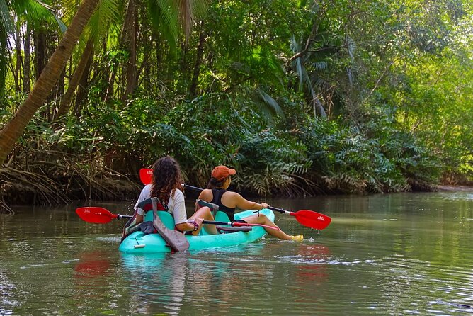 Paddle Through Paradise: Mangrove Kayak Adventure - Highlights of the Paddling Journey