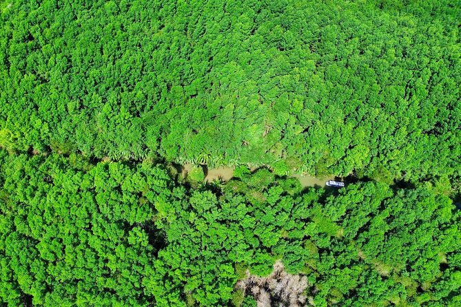 Paddle Through Paradise: Mangrove Kayak Adventure - Meeting Point and Accessibility