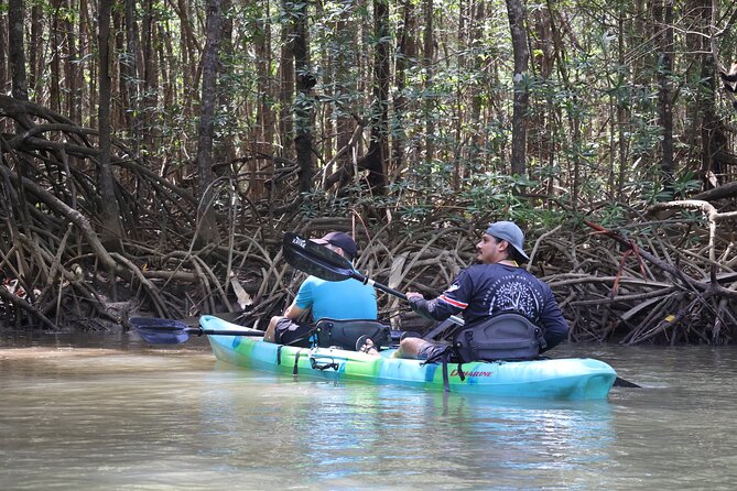 Paddle Through Paradise: Mangrove Kayak Adventure - Whats Included in the Tour